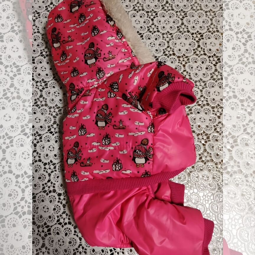 Одежда для маленьких собак зима