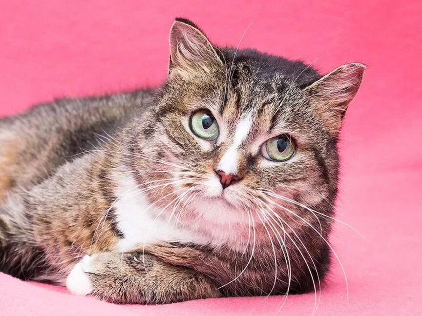 Слишком простая