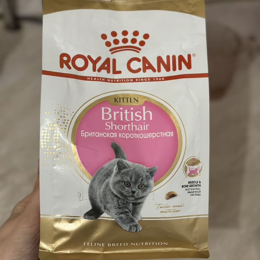 Корм для котят royal canin