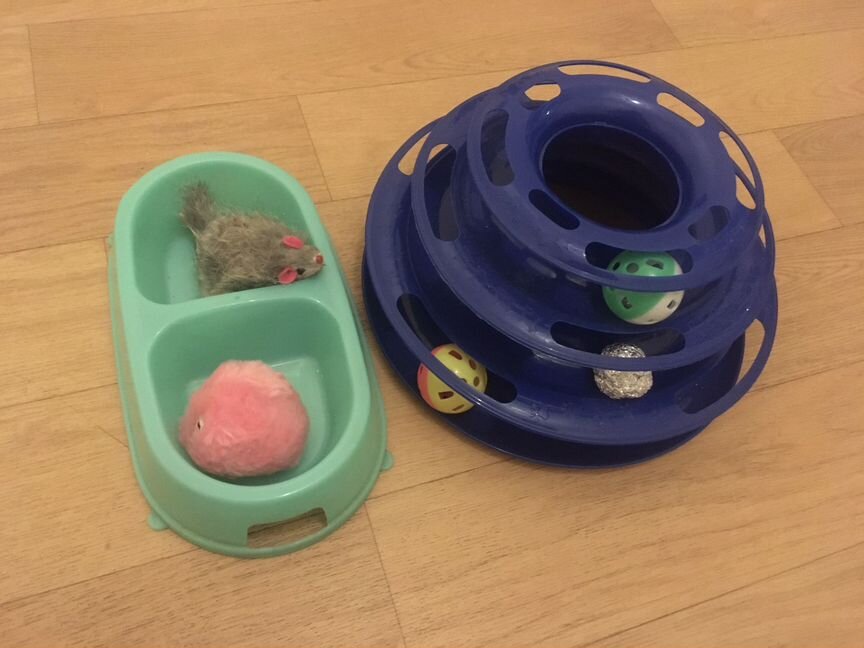 Игрушки для котят