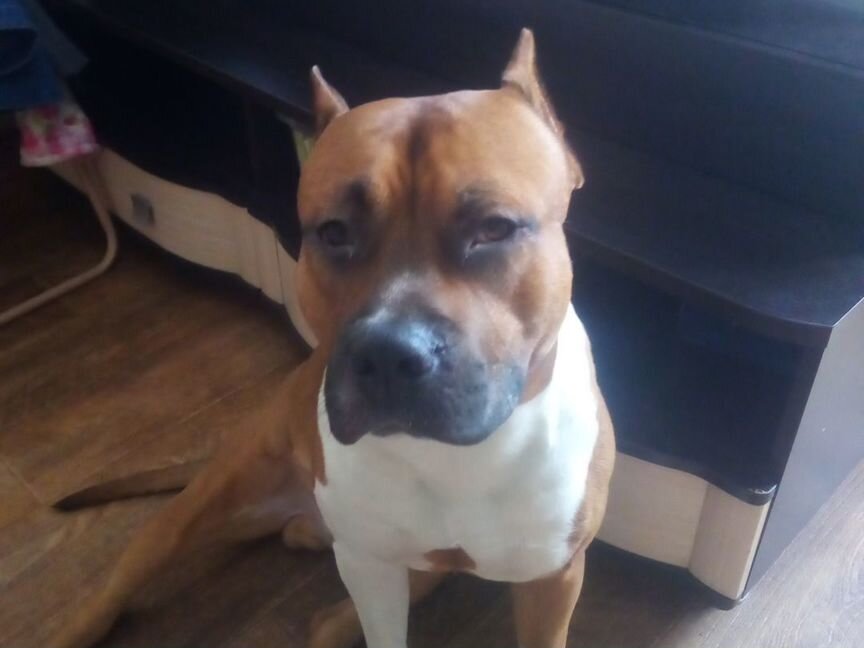 Ищем невесту