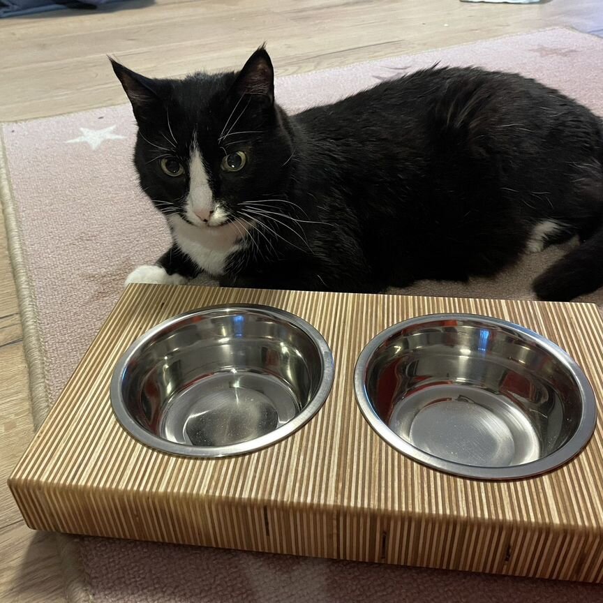 Подставка с мисками для животных