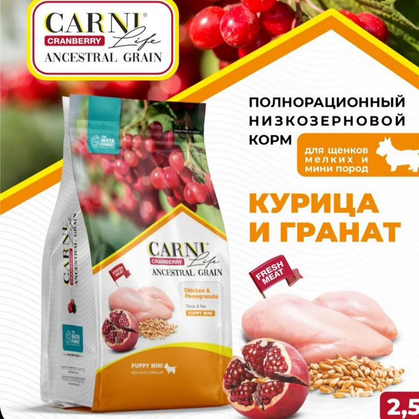 Корм для собак