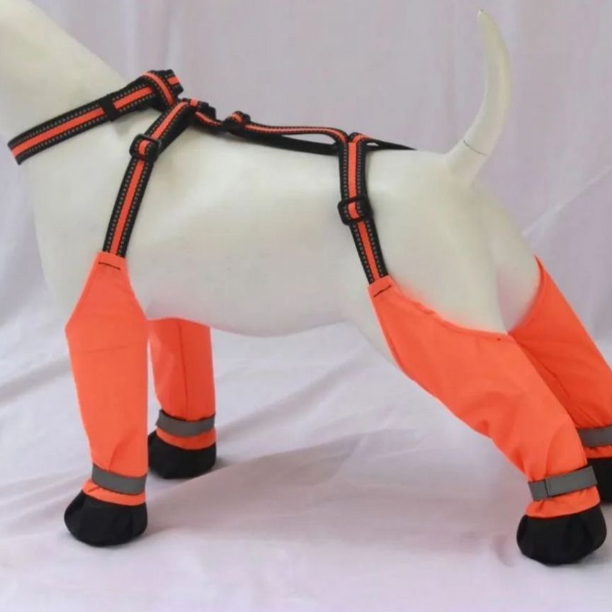 Обувь для собак