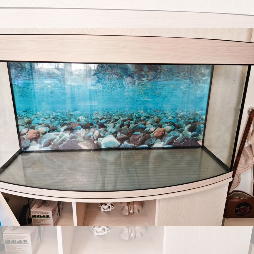 Фон для аквариума