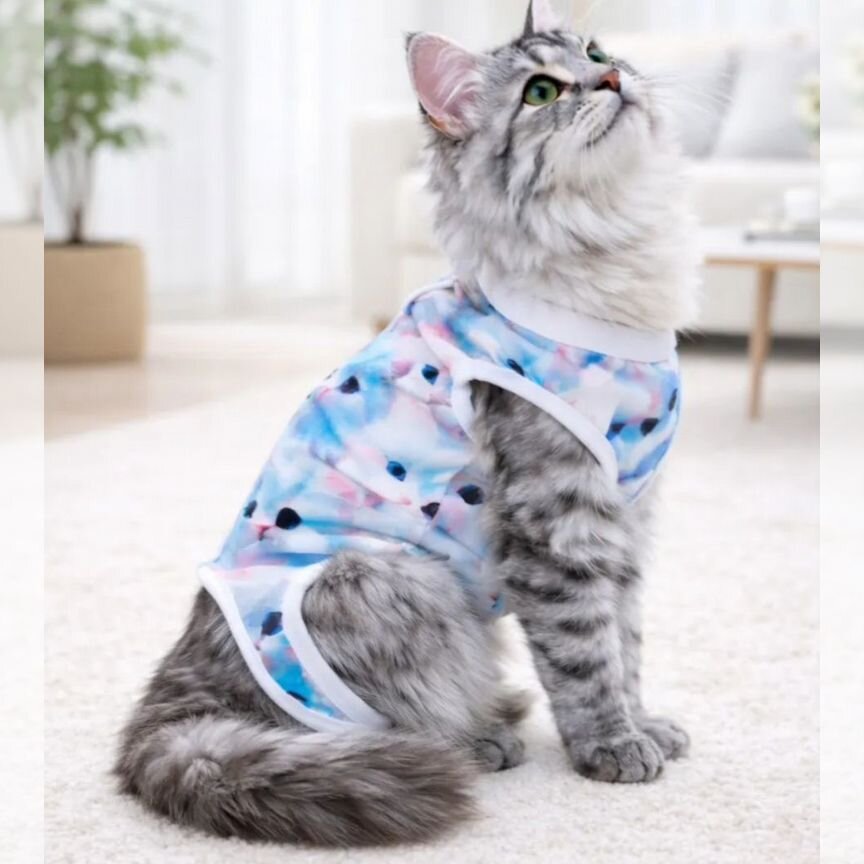 Попона после стерилизации кошки