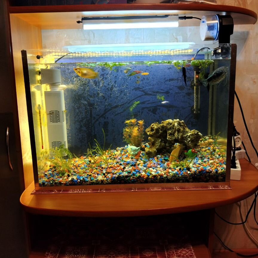 Аквариум 75 литров