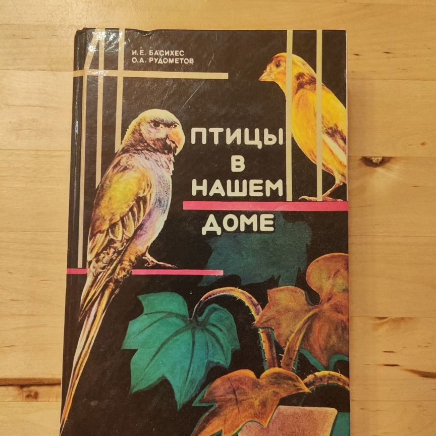 Птицы в нашем доме