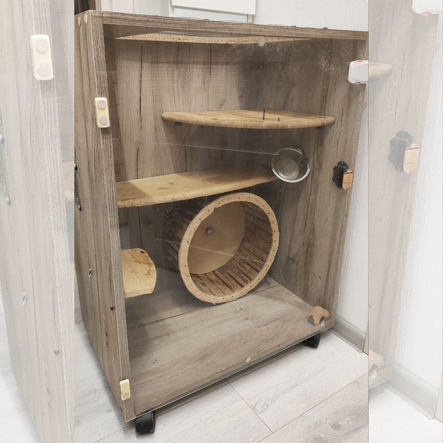 Витрина для шиншиллы