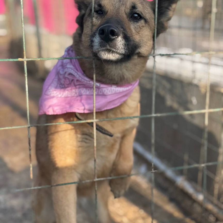 Ищем дом Ларочке