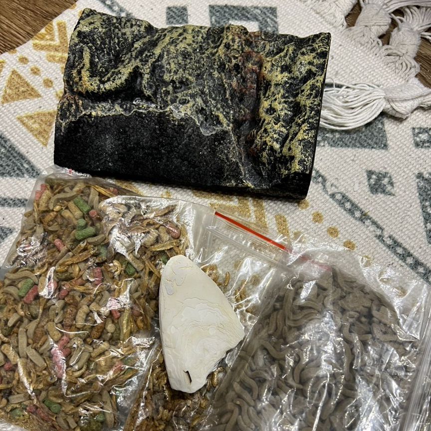 Корм для черепах
