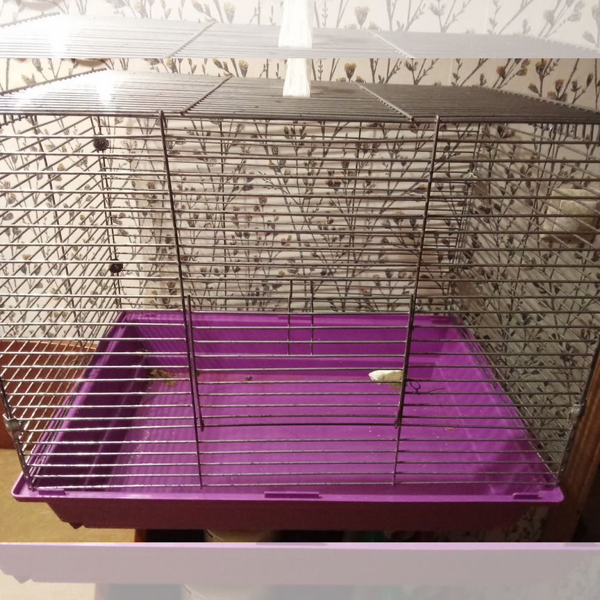 Клетка для птиц большая бу