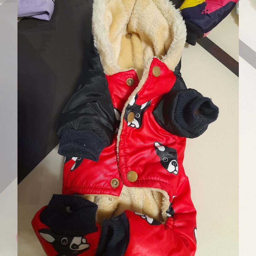 Вещи для маленьких собак