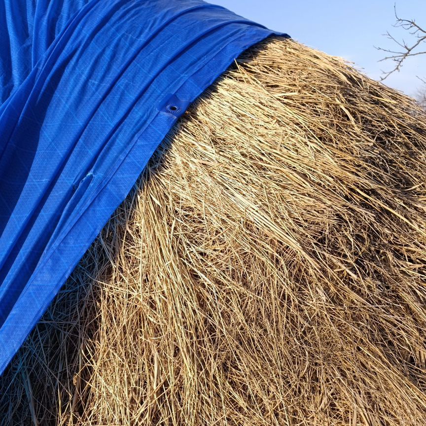 Продам сено