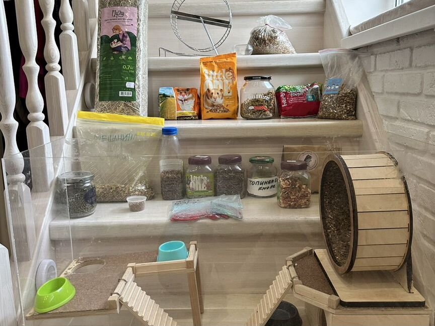 Террариум для хомяка