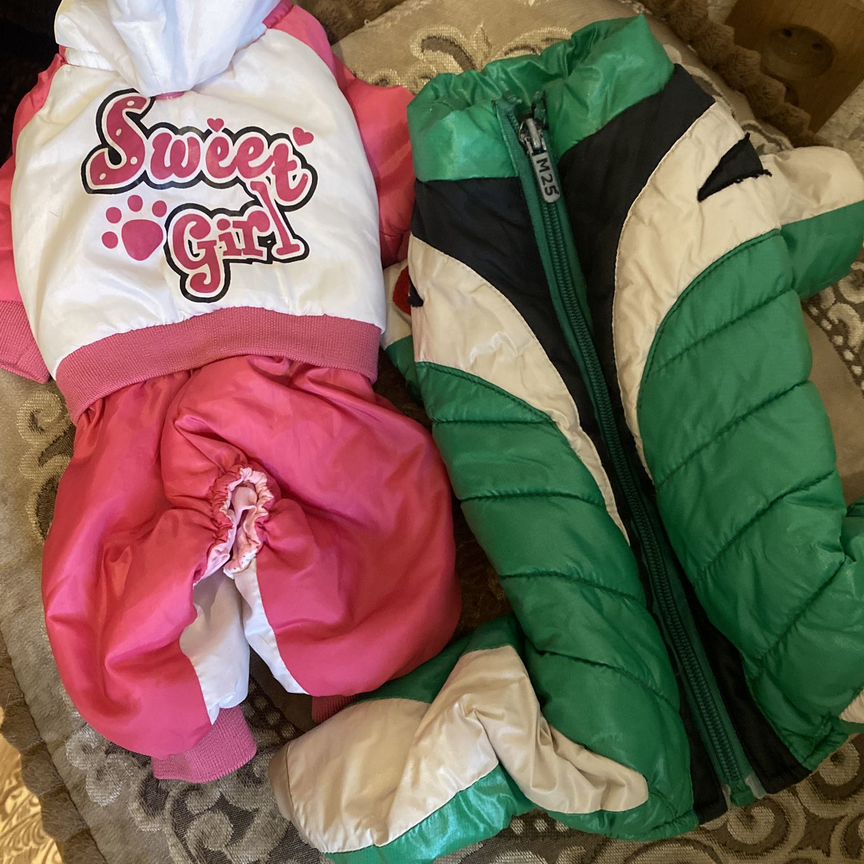 Одежда для собак мелких пород девочка