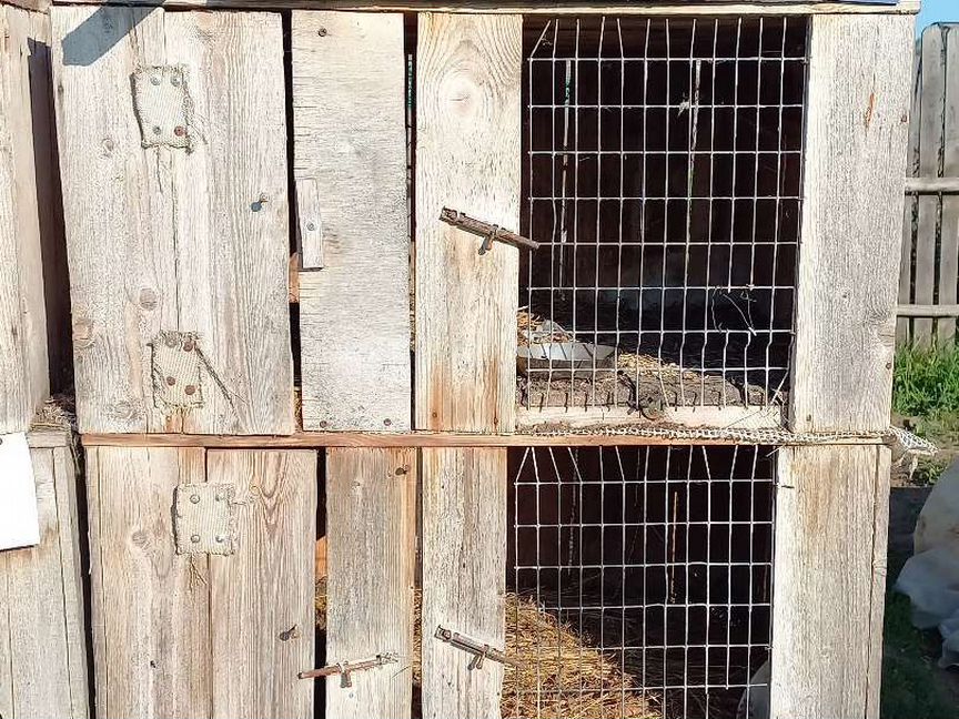 Клетки для кроликов бу 6 шт