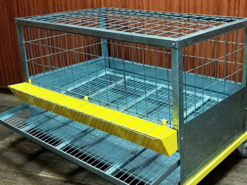 Клетки для кур несушек