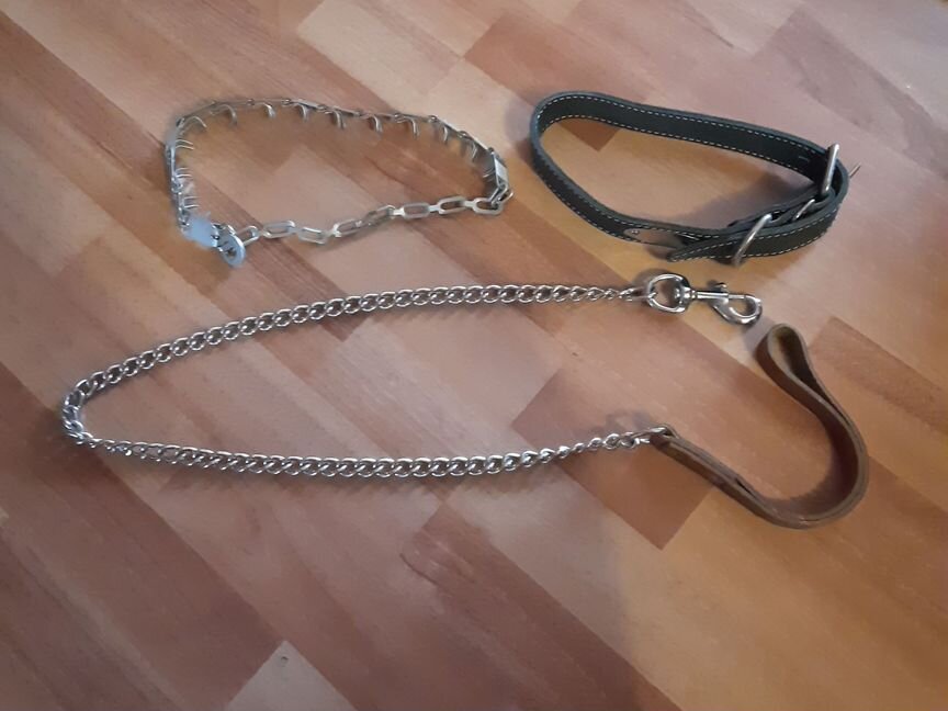 Ошейники и поводок с цепью