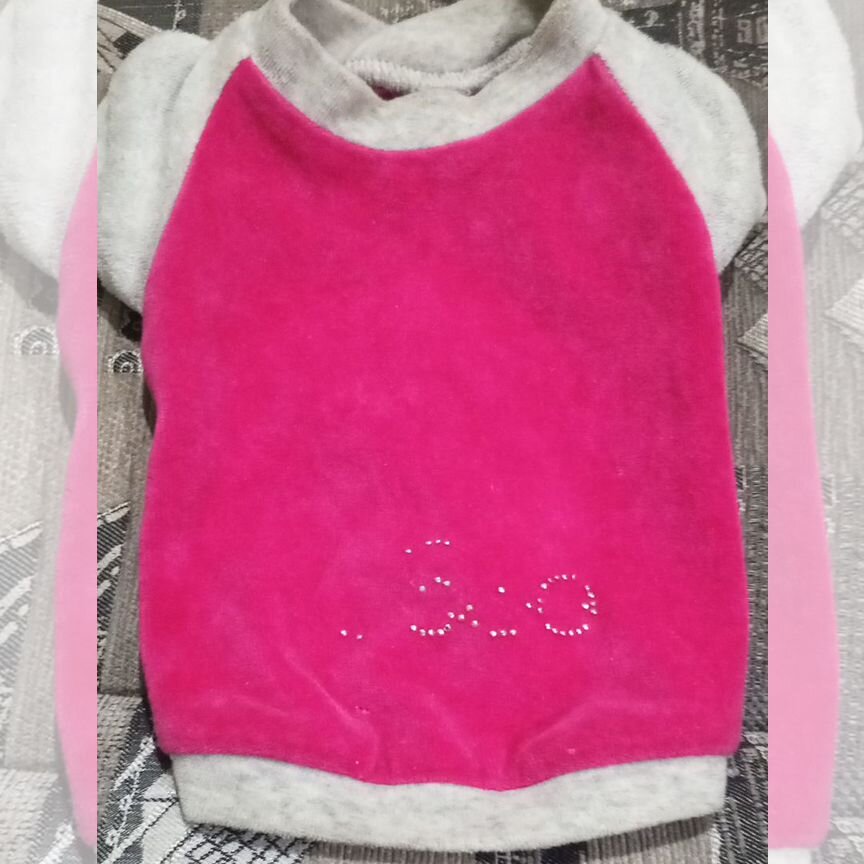 Футболка для маленькой собаки