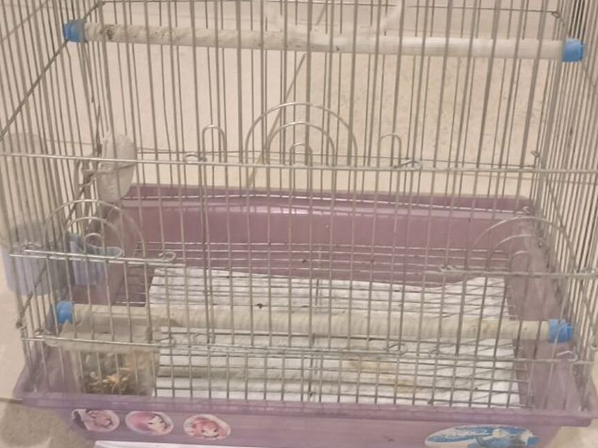 Клетка для птиц бу