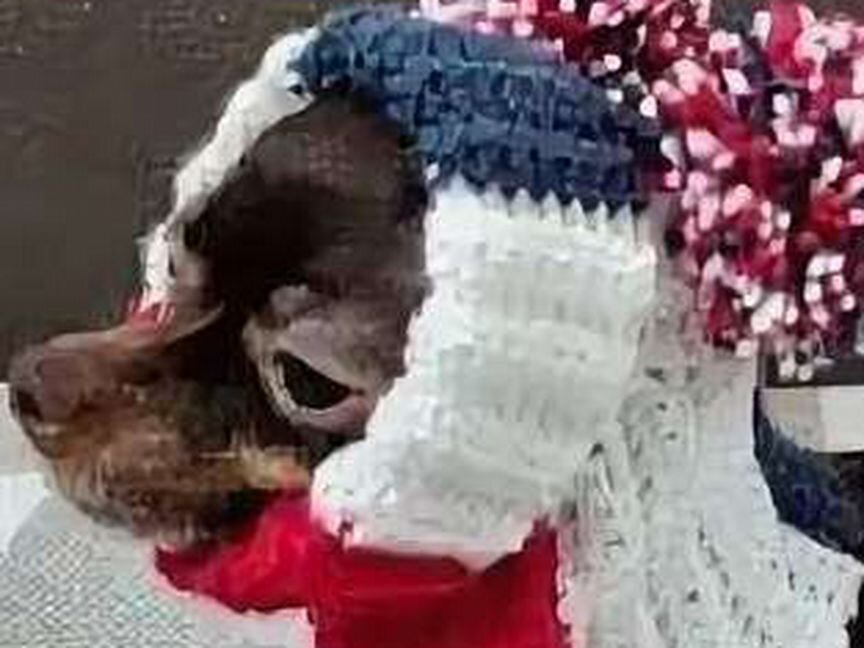 Труба шапка для чихуахуа