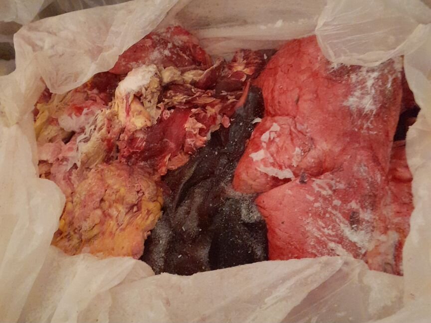 Собачий корм