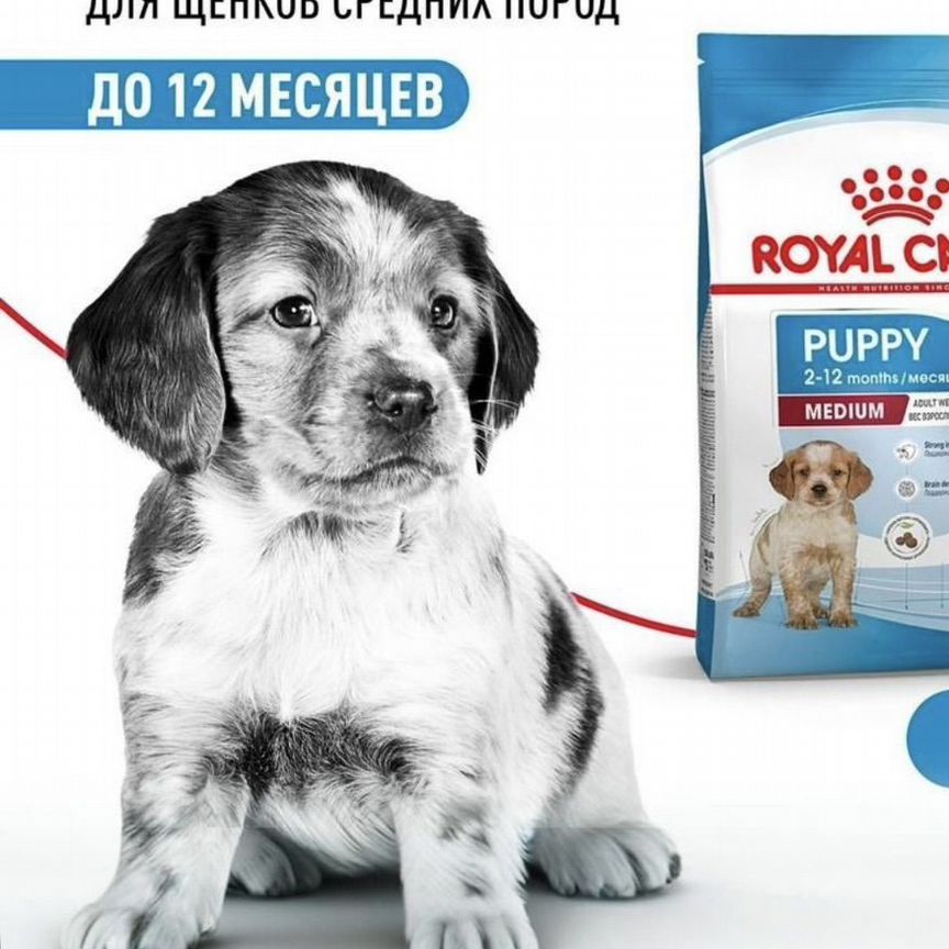 Корм для собак royal canin puppy medium