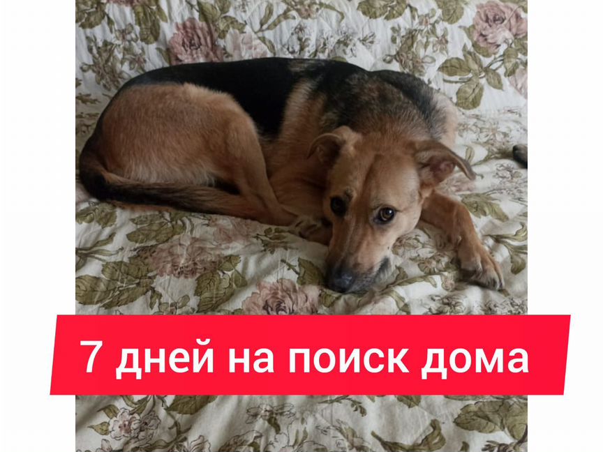 Помогите спасти