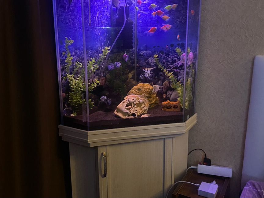 Аквариум с тумбой