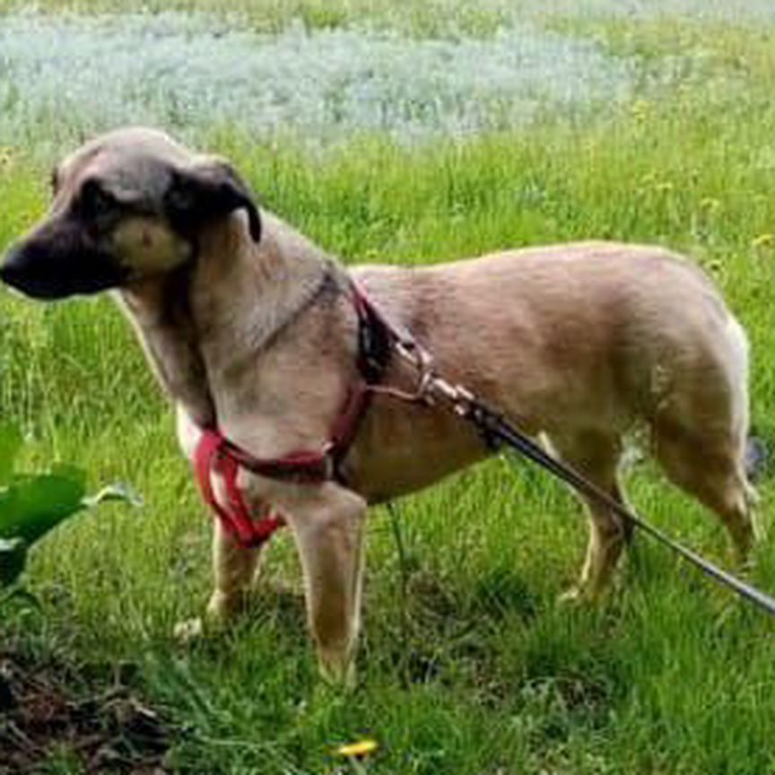 Малышка уже настрадалась от людей