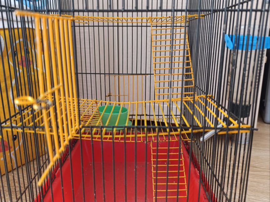 Клетка для крыс