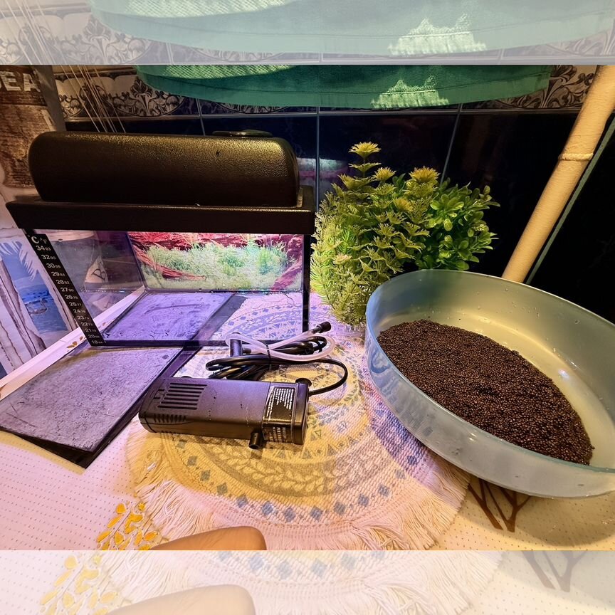 Аквариум 5 литров