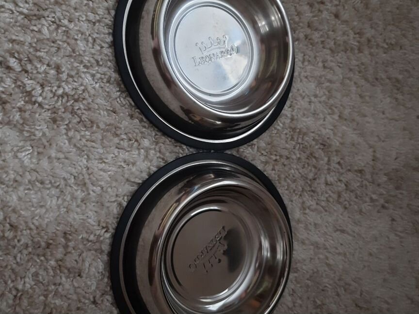 Все для собак средних