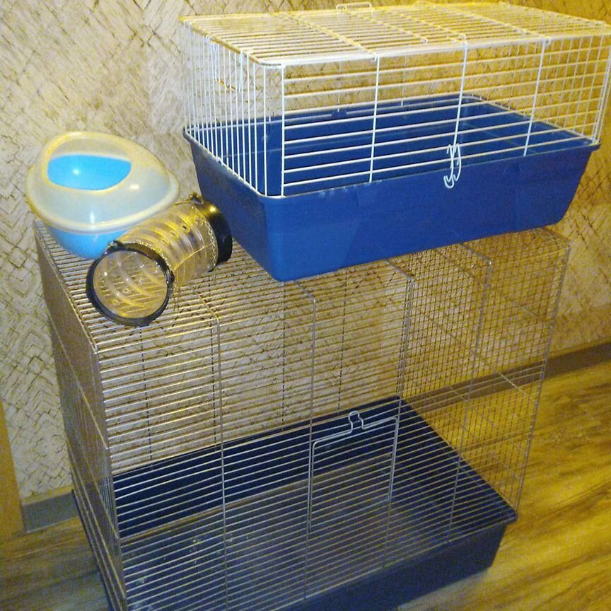 Клетки для грызунов
