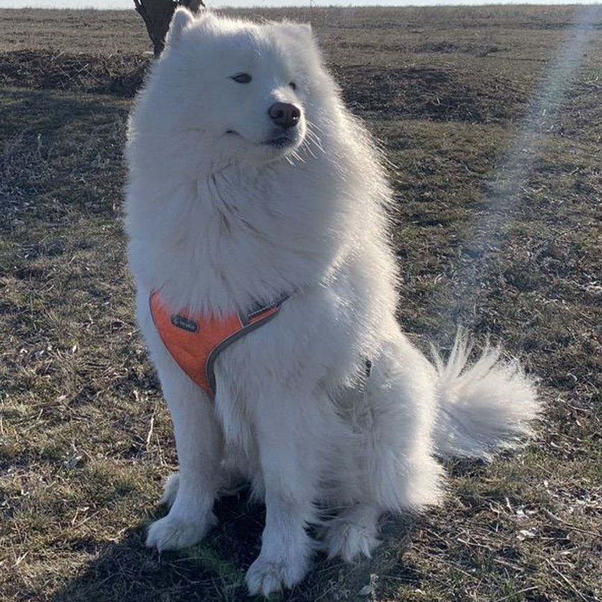 Вязка Кабель. Оплачу