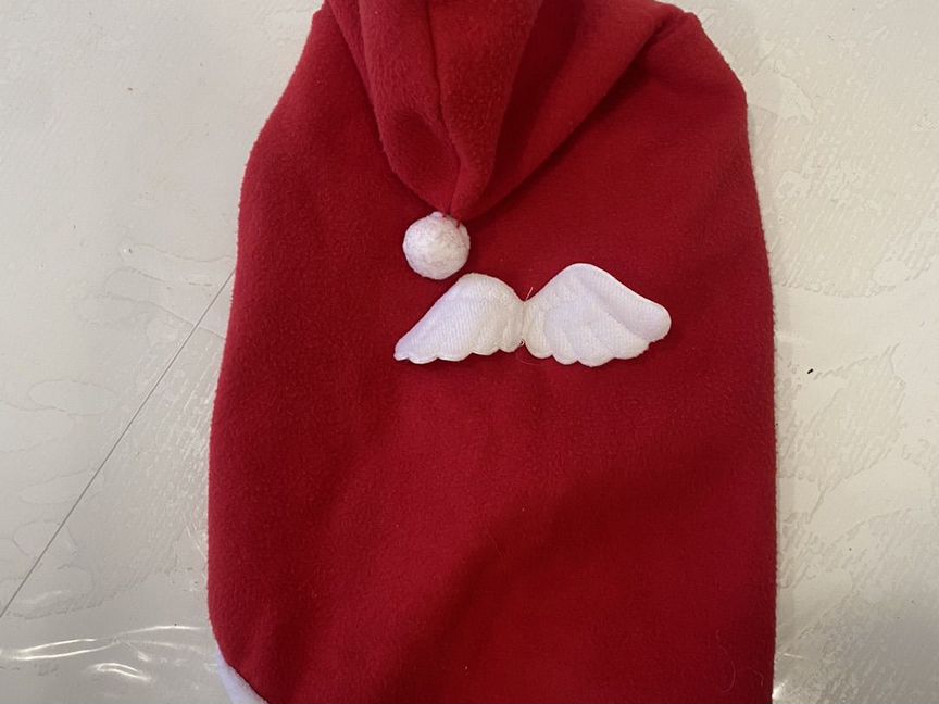 Одежда для йоркирского терьера