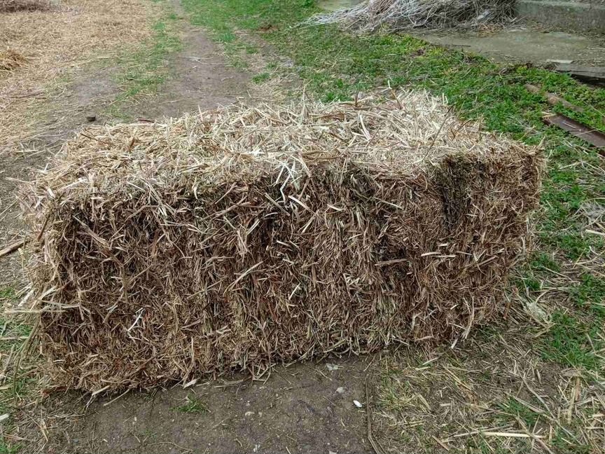 Сено эспарцет