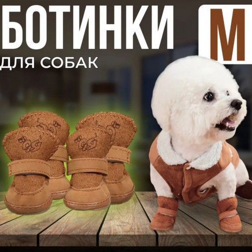 Обувь для животных