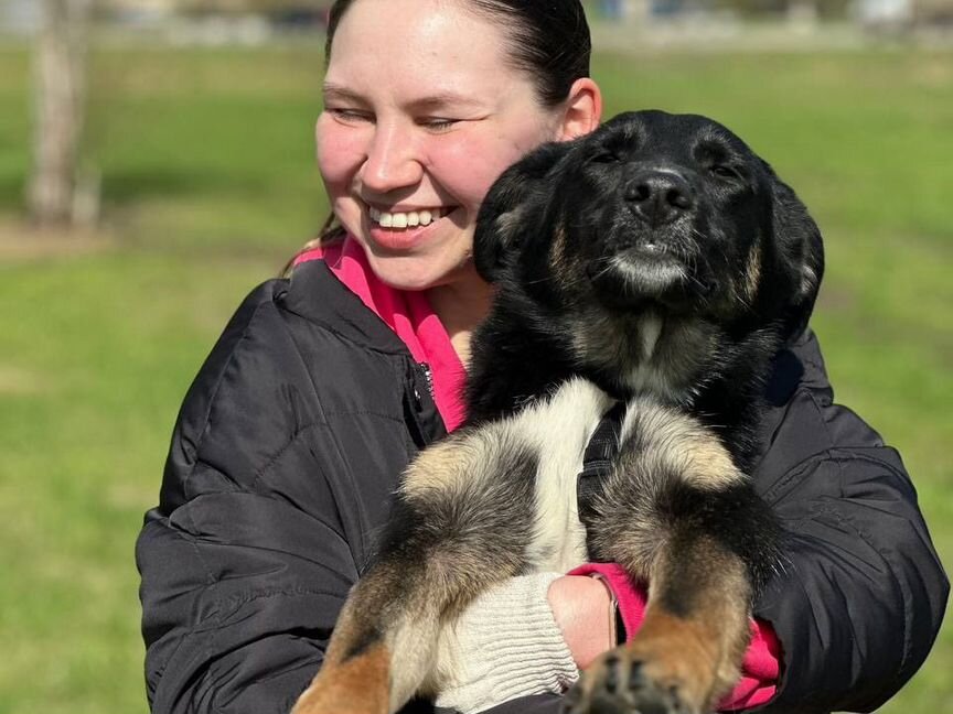 Собака в добрые руки отдам бесплатно