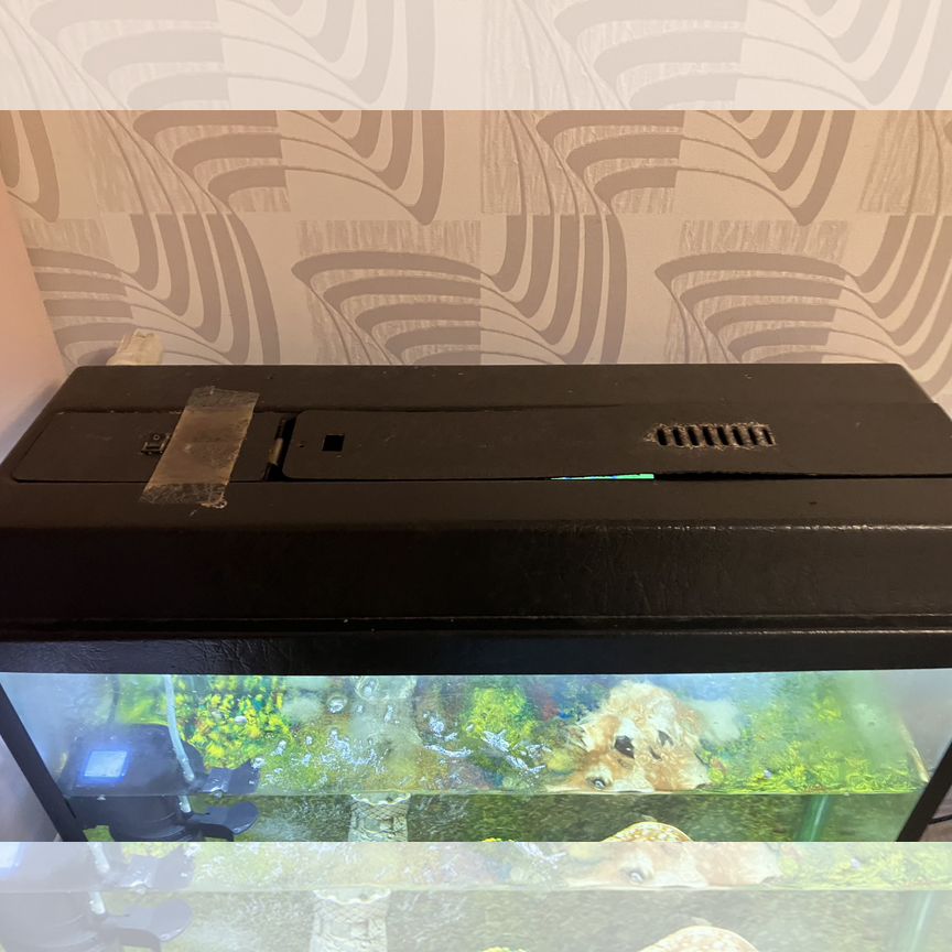 Аквариум на 80 литров