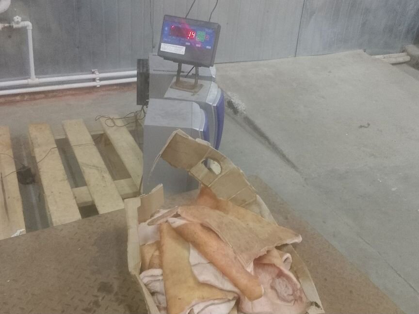 Шкурка свиная