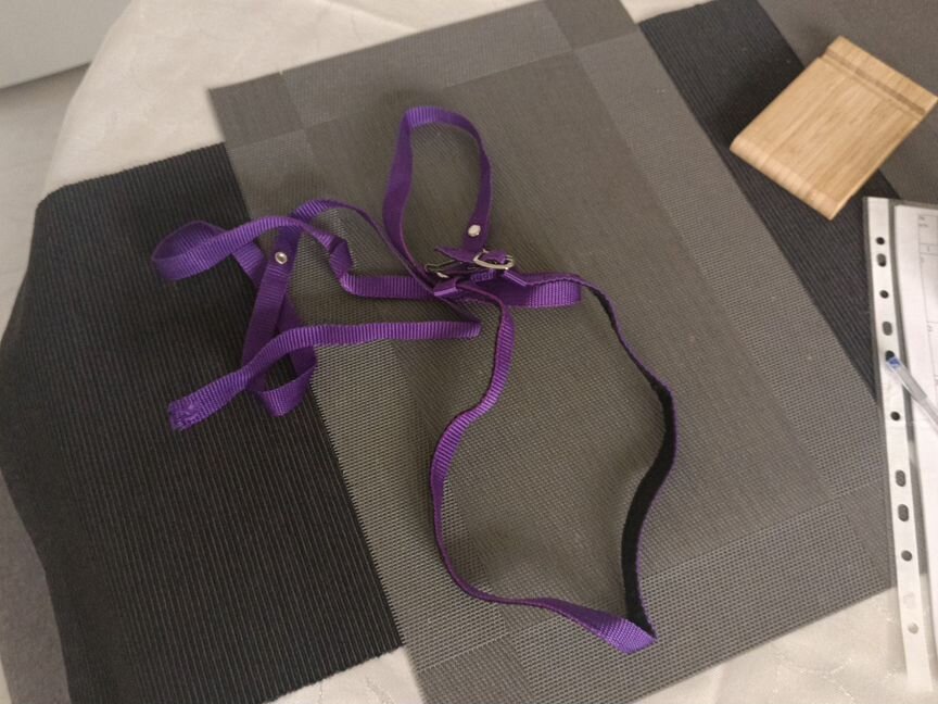 Шлейка для кошки