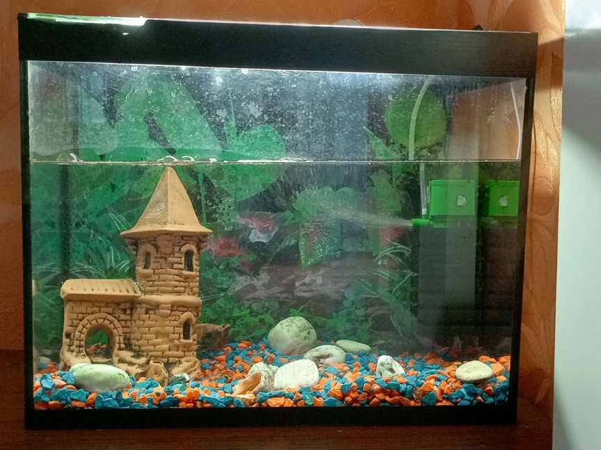 Аквариум с рыбками, фильтр, сачок, лампа освещения