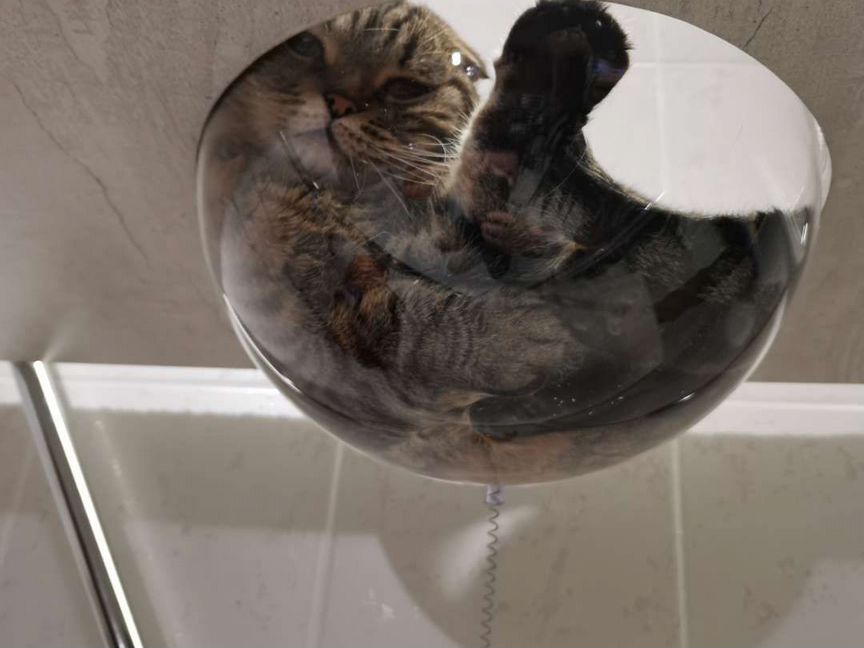 Лазалка для кошек