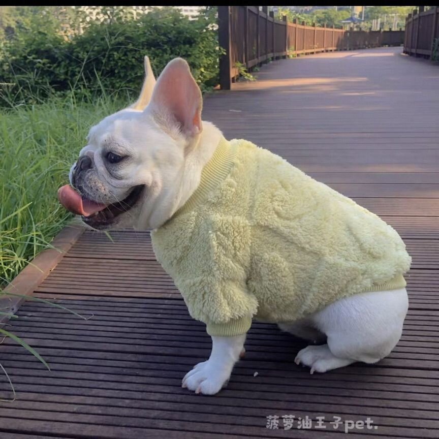 Теплая одежда для собак