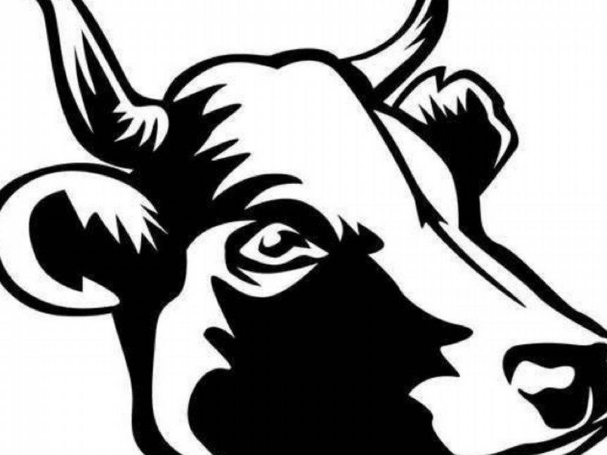 Отходы рубец собакам