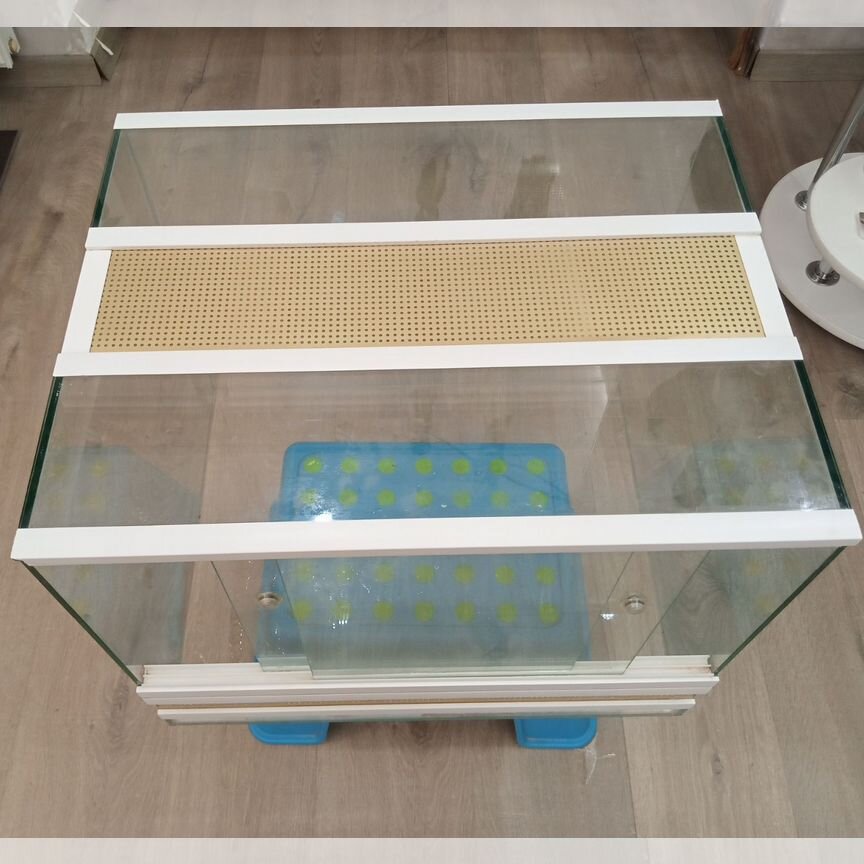 Террариум для рептилий