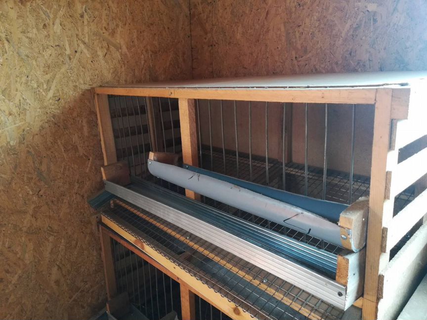 Клетка для птиц