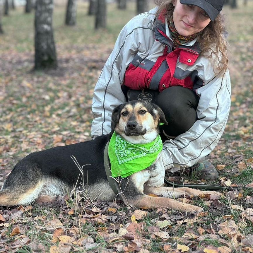 Щенок Тутси из приюта ждёт свою семью